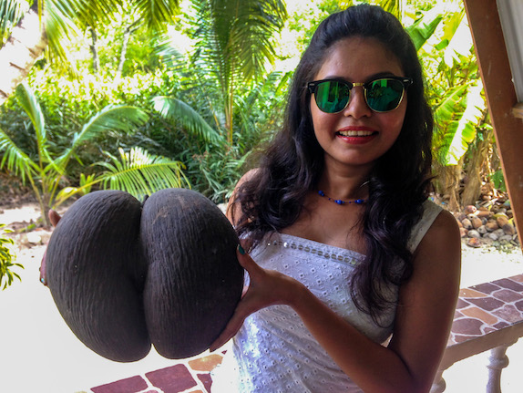 Seychelles itinerary in 9 Days - travel like we do